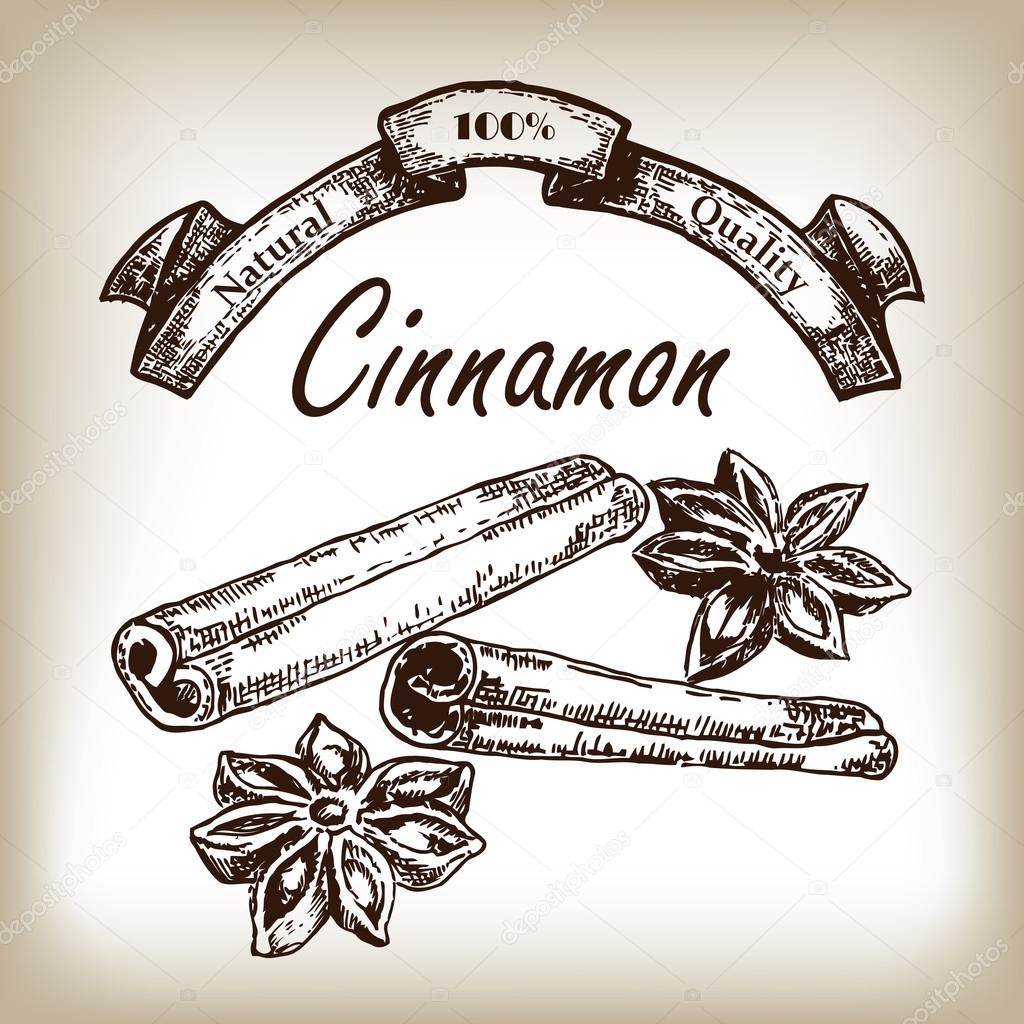 Cinnamon hand drawn illustration in sketch style Stock Vector Image by ...