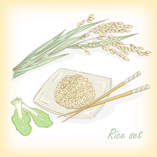 Rice Drawing