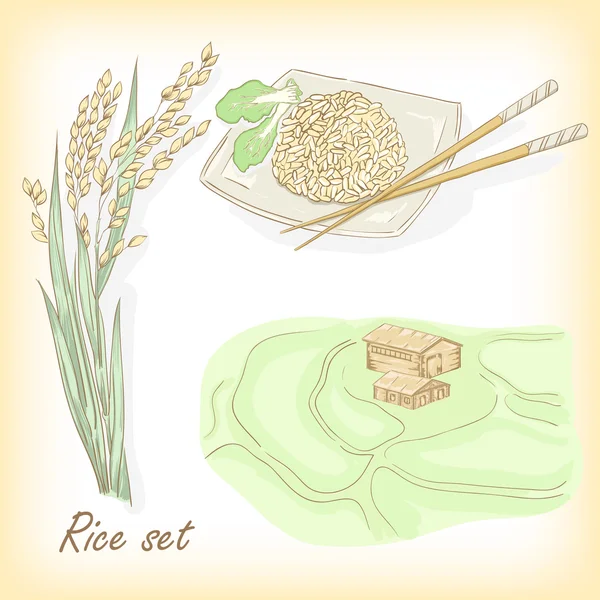 Rice field Stock Vectors, Royalty Free Rice field Illustrations ...