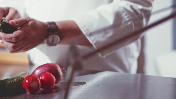Chef hands cooking and preparing food — Stock Video © Allllex #102200298