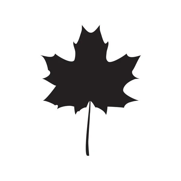 100,000 Maple leaf icon Vector Images | Depositphotos