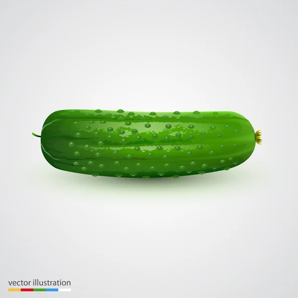 Ogórek grafika wektorowa | Depositphotos®