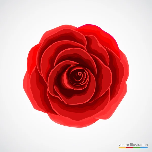 100,000 3d rose Vector Images | Depositphotos