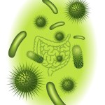 Common bacteria infecting human — Stock Vector © rob3000 #59877737