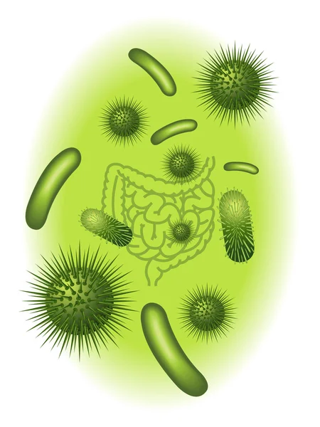 Common bacteria infecting human - Stock Image - Everypixel