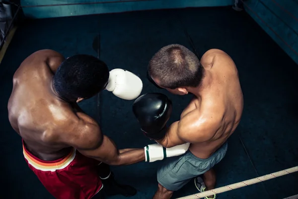 Boxer ready to fight Stock Photos, Royalty Free Boxer ready to fight ...