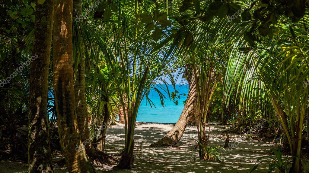 Playa Tropical y Palmeras de Bali. 4k, viaje a la isla. Playa de arena ...