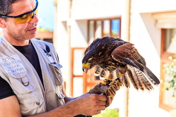 PYLOS, GREECE, 20 JUNE: man with hawk as a security staff, Greece ...