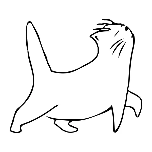 Orgulloso gato imágenes de stock de arte vectorial | Depositphotos