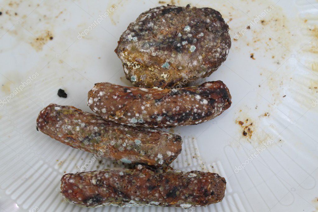 Rotten BBQ food - an end to summer Stock Photo by ©upyanose 84609820
