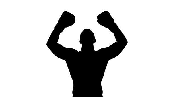 Boxer winner silhouette on white background — Stock Video ...