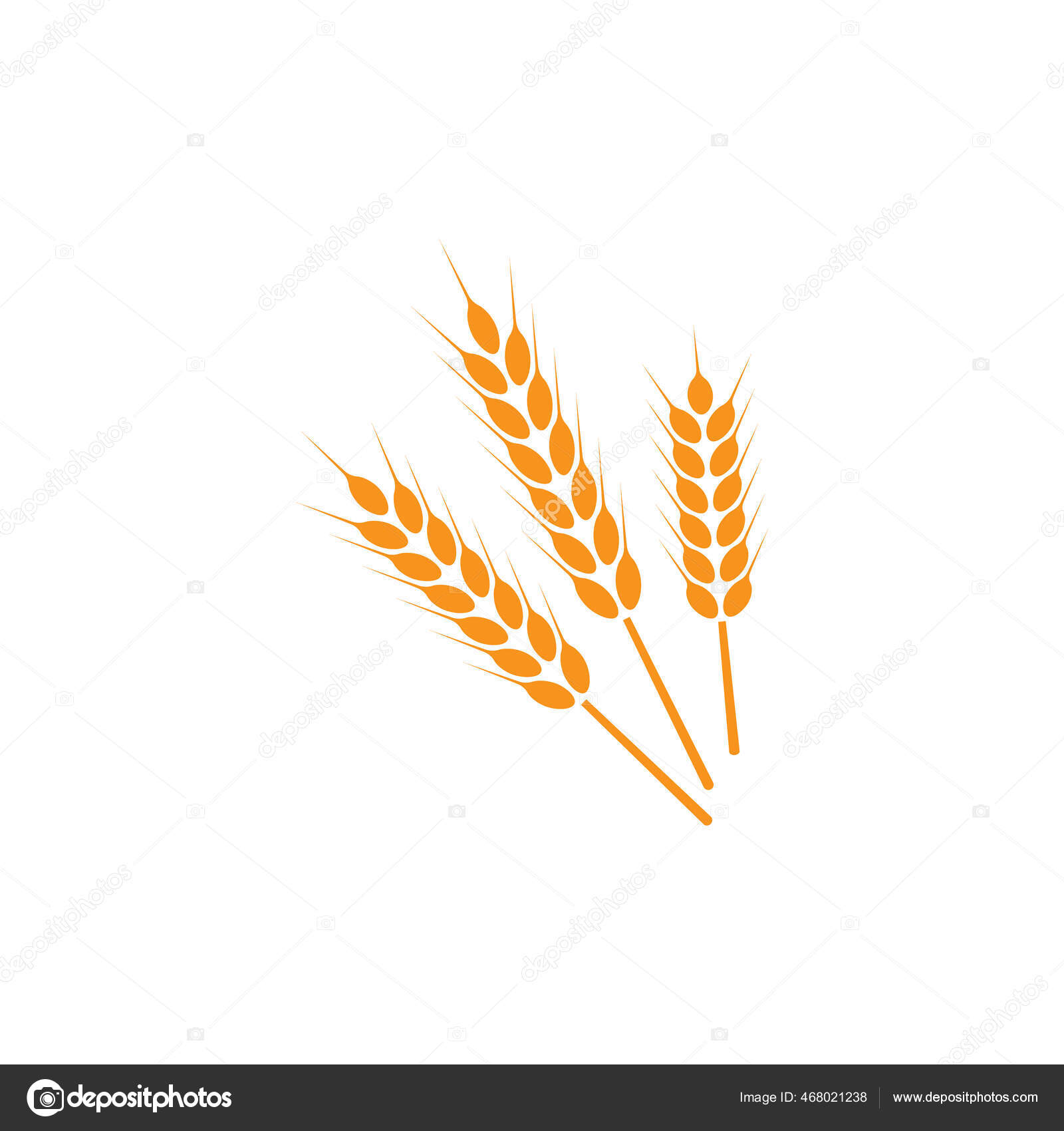 Ears Wheat Logo Vector Illustration White Isolated Background Stock ...