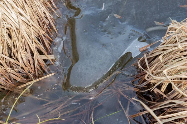 Effluent discharge patterns Stock Photos, Royalty Free Effluent ...