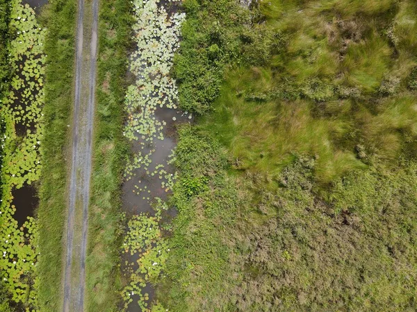 Aerial field top down Images - Search Images on Everypixel