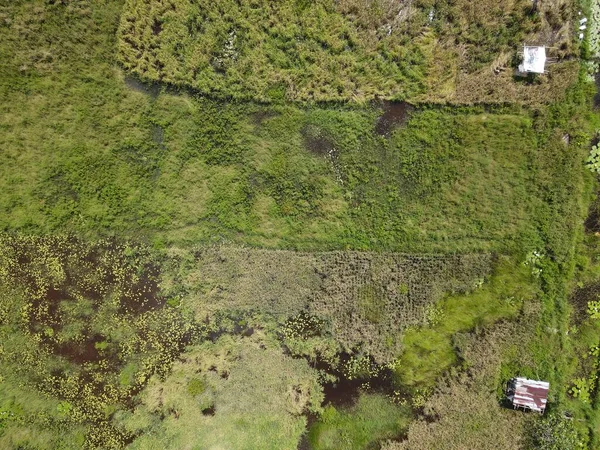 Aerial field top down Images - Search Images on Everypixel