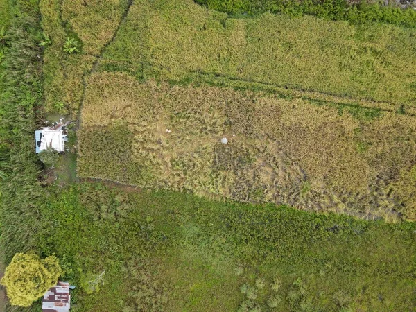 Aerial field top down Images - Search Images on Everypixel