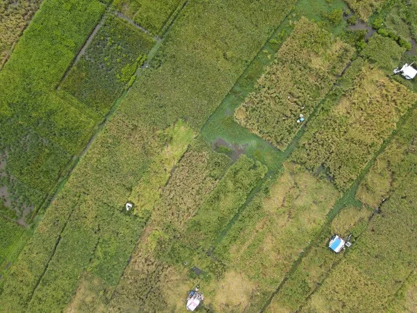 Aerial field top down Images - Search Images on Everypixel