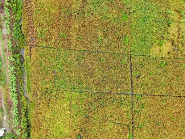 Aerial field top down Images - Search Images on Everypixel