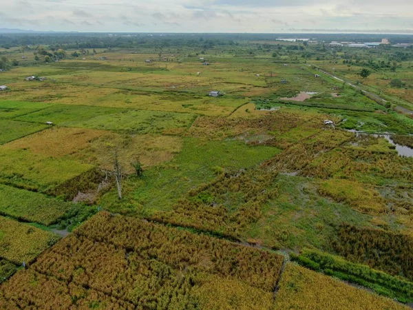 Aerial field top down Images - Search Images on Everypixel