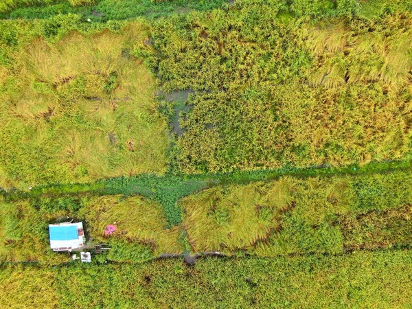 Aerial field top down Images - Search Images on Everypixel