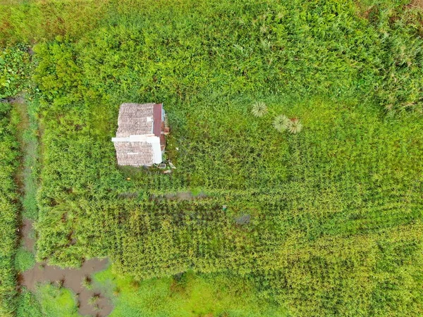 Aerial field top down Images - Search Images on Everypixel