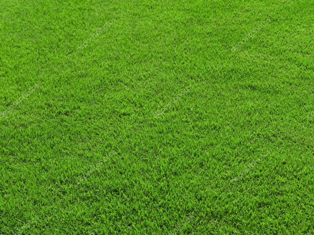 Superficie de pasto verde — Foto de Stock #57861777 — Depositphotos