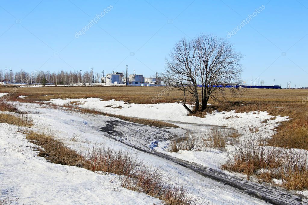 paisaje la llegada de la primavera en los campos en un día soleado 2022