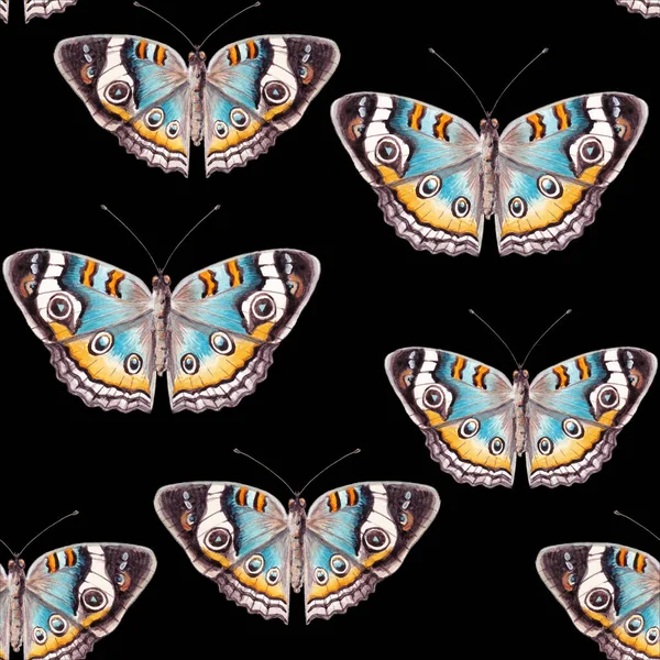 Butterfly pattern Stock Photos, Royalty Free Butterfly pattern Images ...