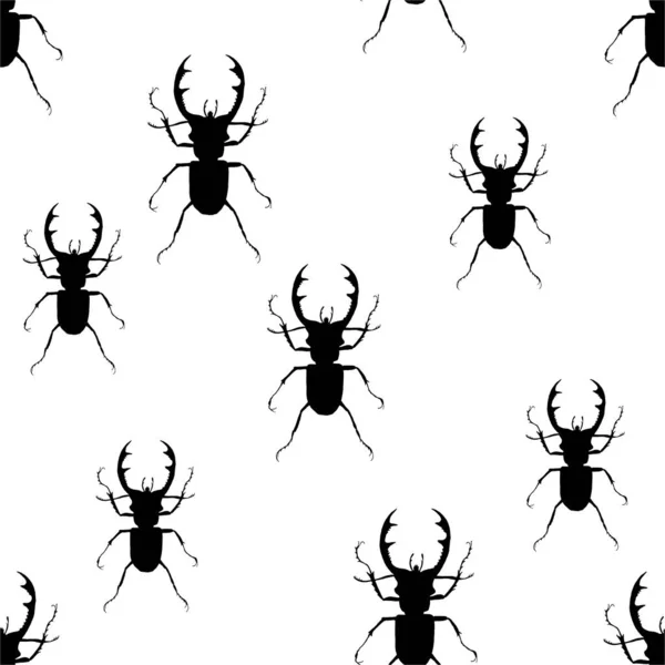 Stag beetles Stock Photos, Royalty Free Stag beetles Images | Depositphotos