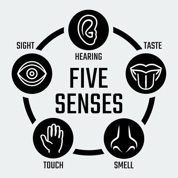 5 Senses Icon