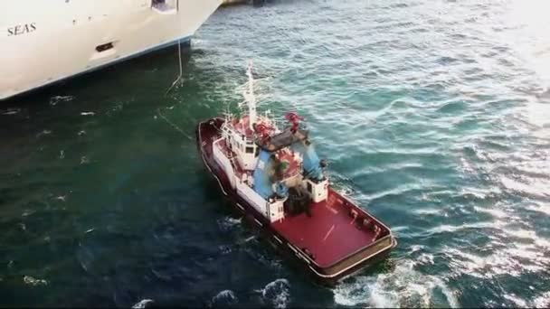 28 Bull carrier Videos, Royalty-free Stock Bull carrier Footage ...