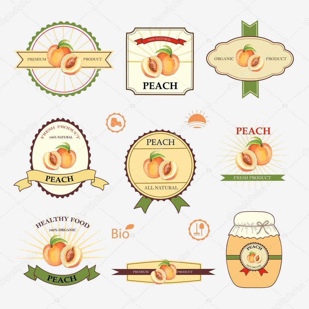 Set of label design — Stock Vector © Elenamedvedeva #67701601