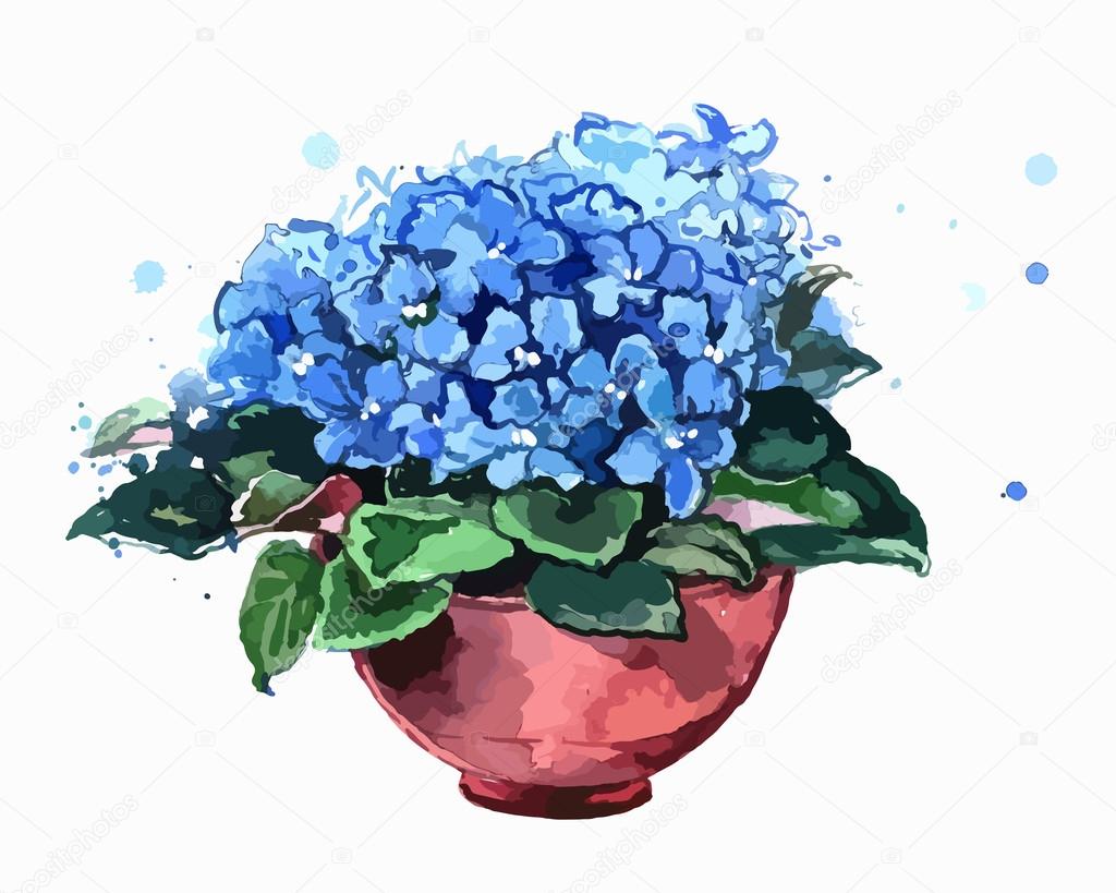 Blue flowers in a pot — Stock Vector © kimazo #69108323