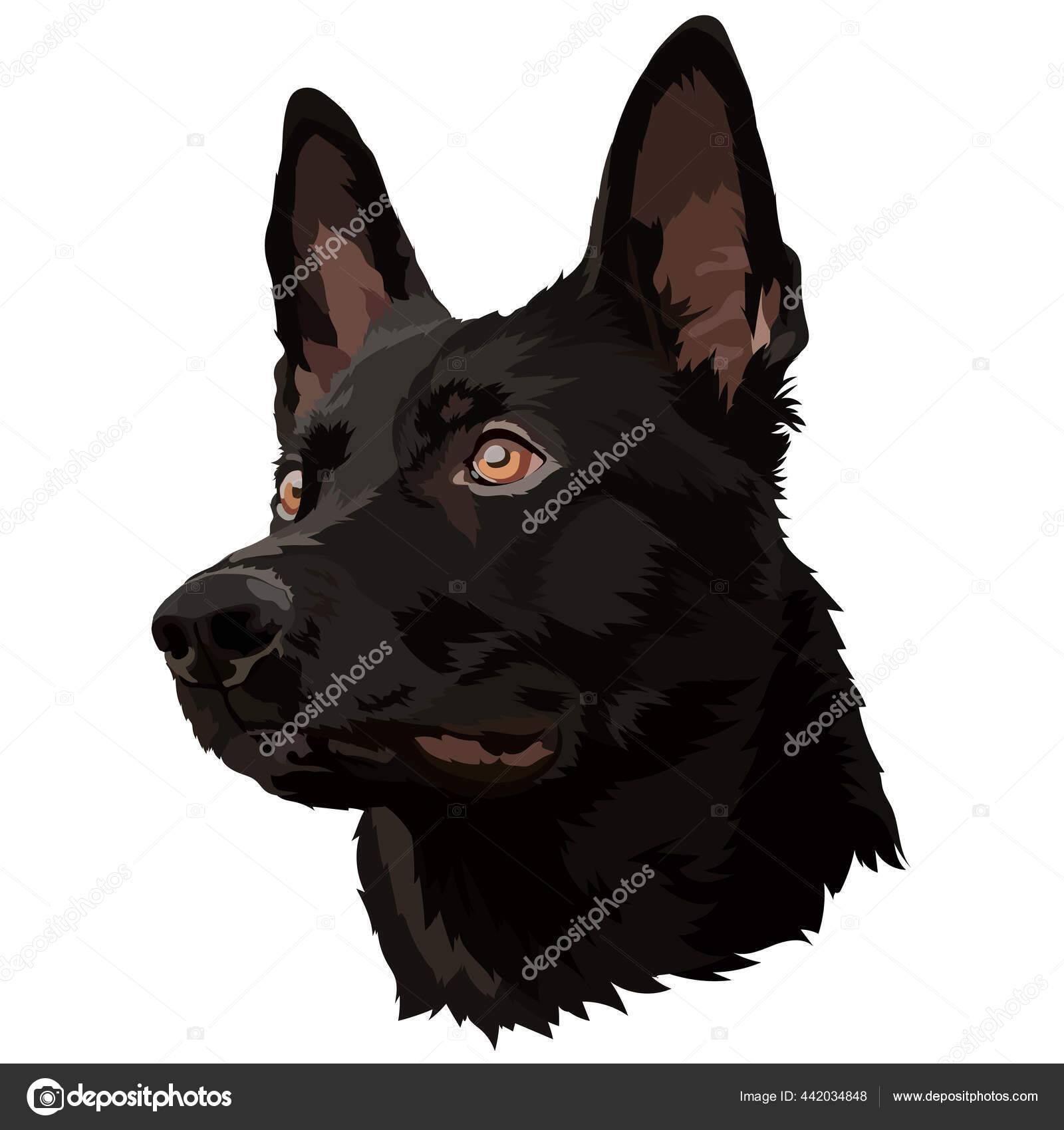 German Shepherd Portrait Black Dog Vector Illustration Drawing Stock ...