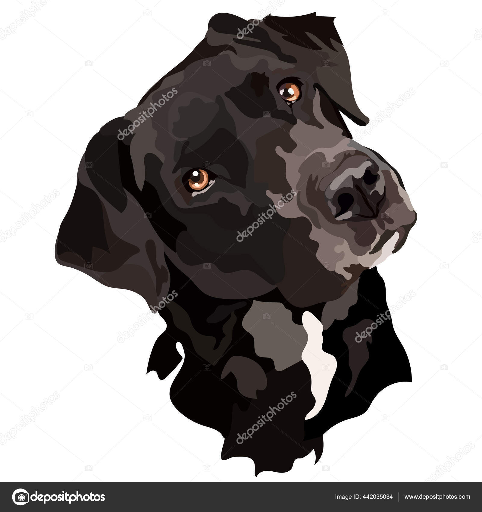 Black Labrador Vector Portrait Dog Stock Vector by ©Saenko88888@gmail ...