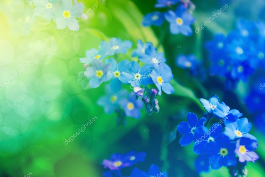 Blur spring flower background Stock Photo by ©KamcaUhrova 67907555