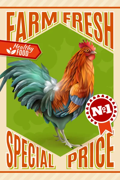 Vintage Farm fresh Chicken poster design — Stock Vector © Donnay #38756015