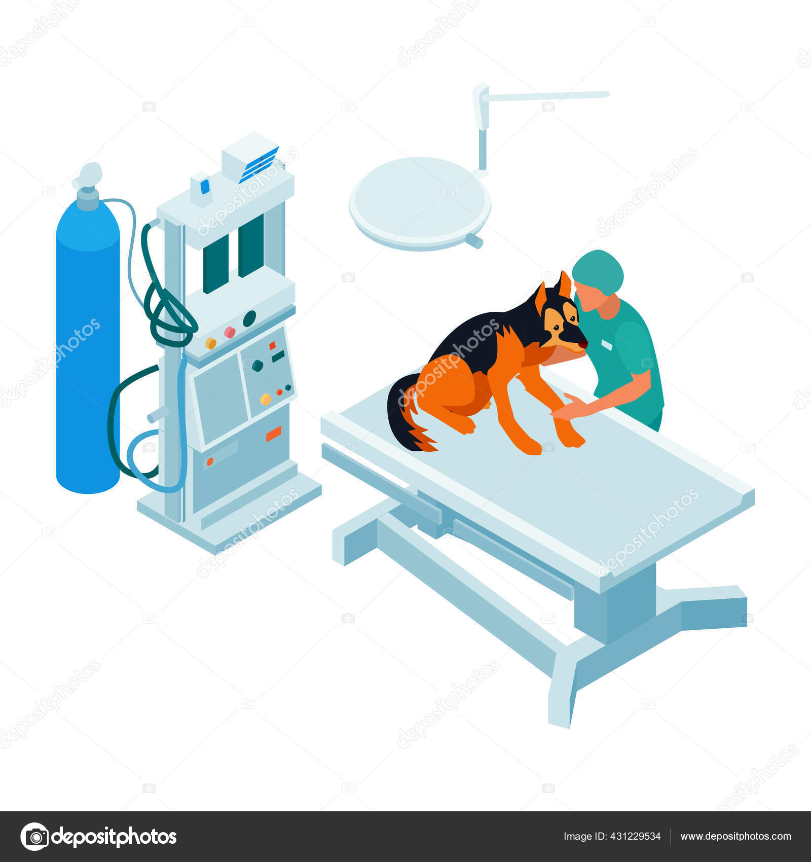 Veterinary Surgery Room Composition Stock Vector Image by ©macrovector ...