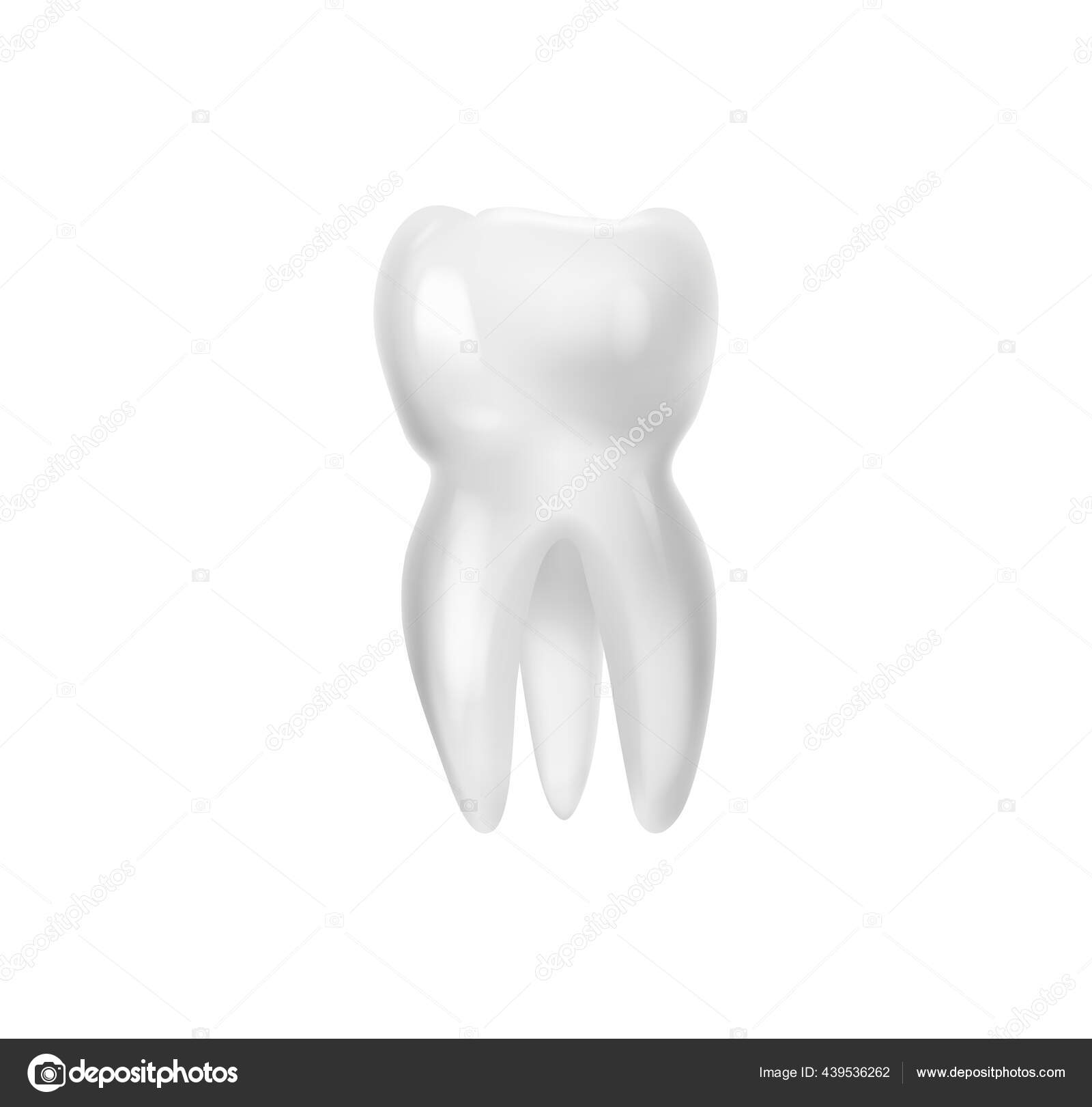 Triple Root Tooth Composition Stock Vector Image by ©macrovector #439536262