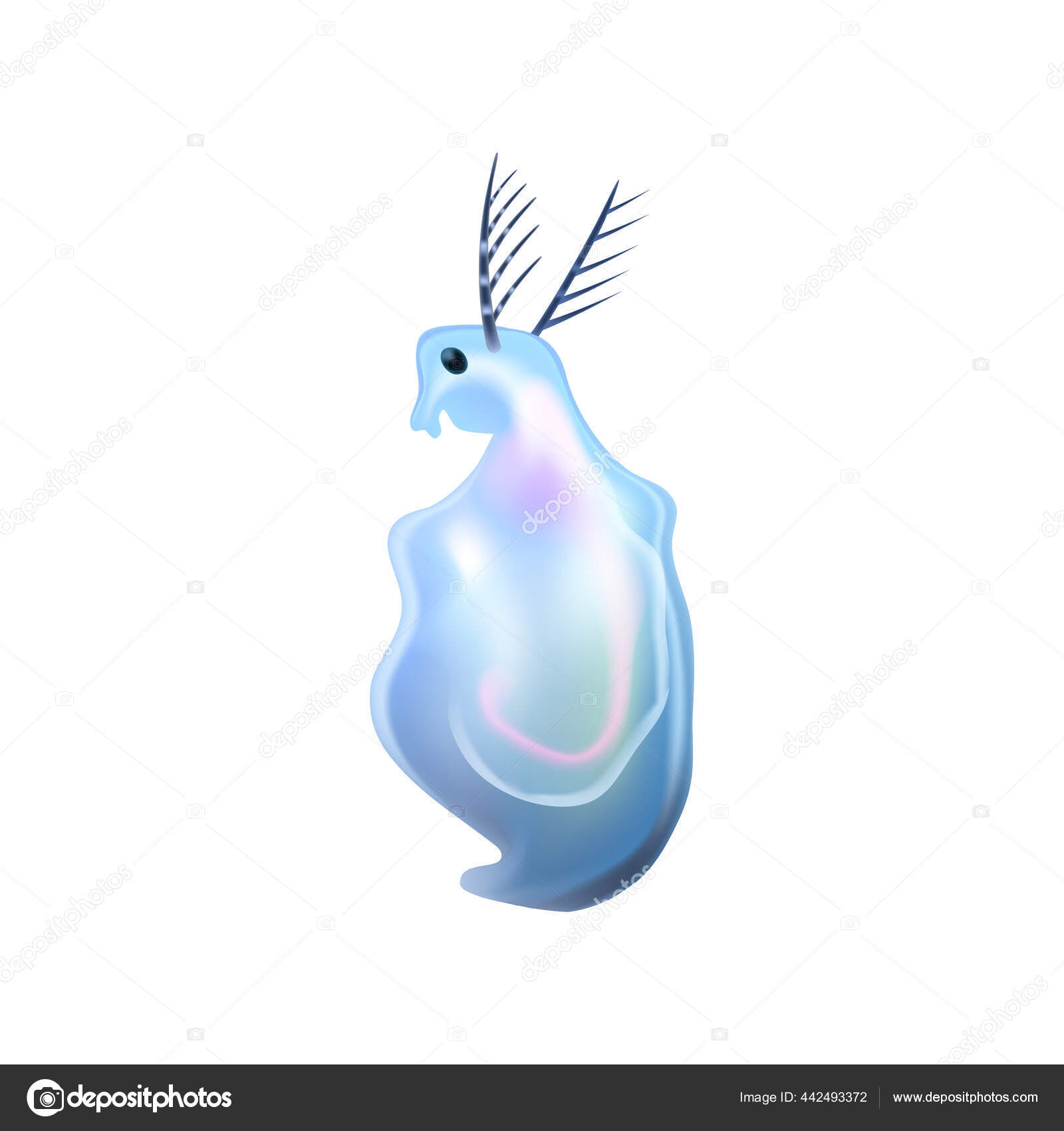 Realistic Plankton Illustration Stock Vector by ©macrovector 442493372