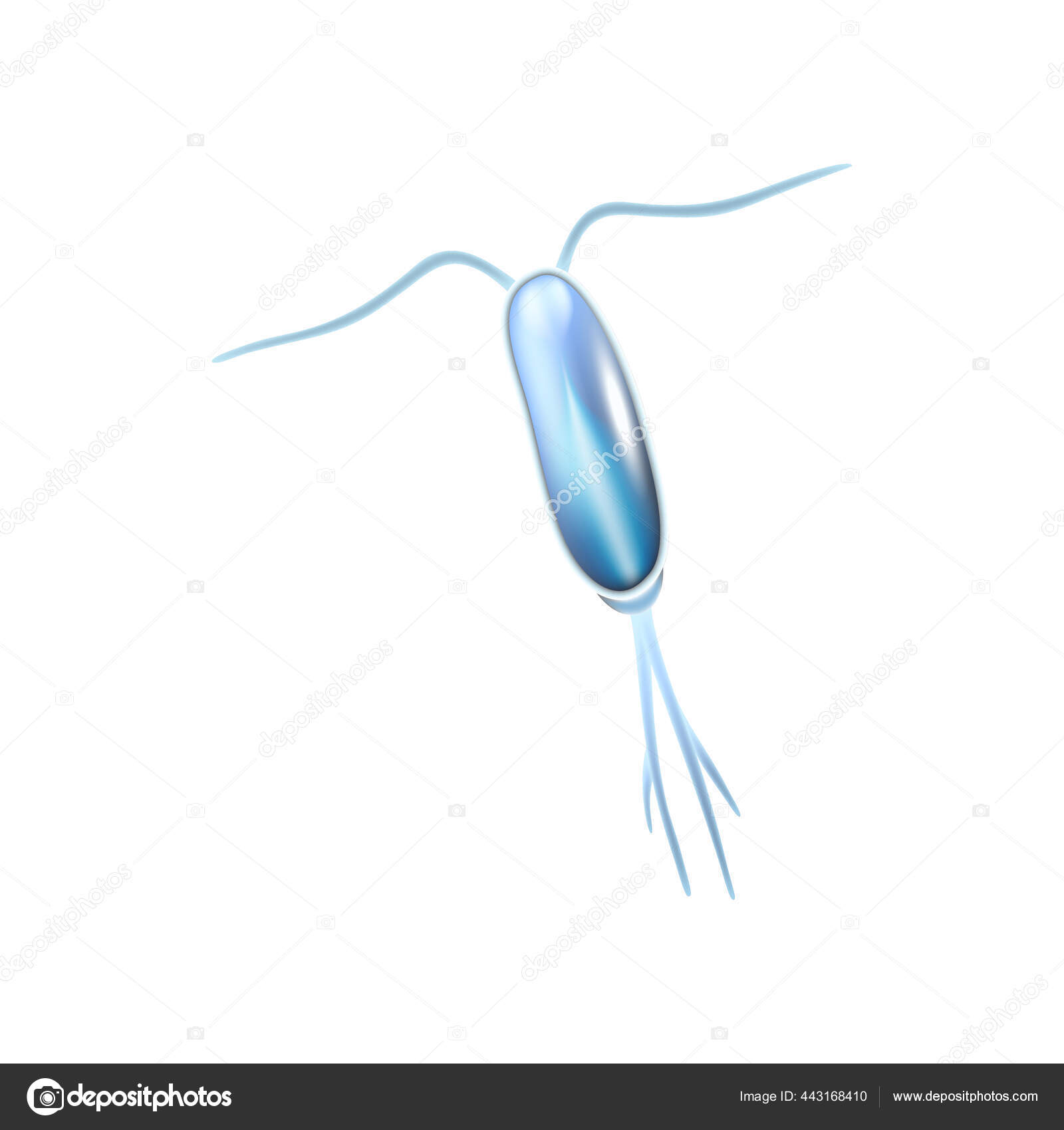 Copepod Plankton Icon Stock Vector by ©macrovector 443168410
