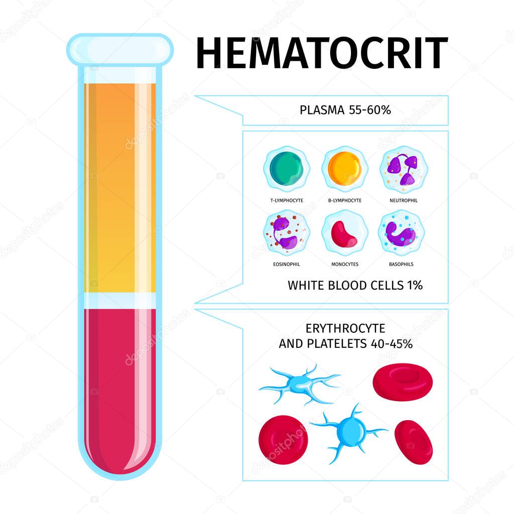Infografías del plasma de las células sanguíneas 2022