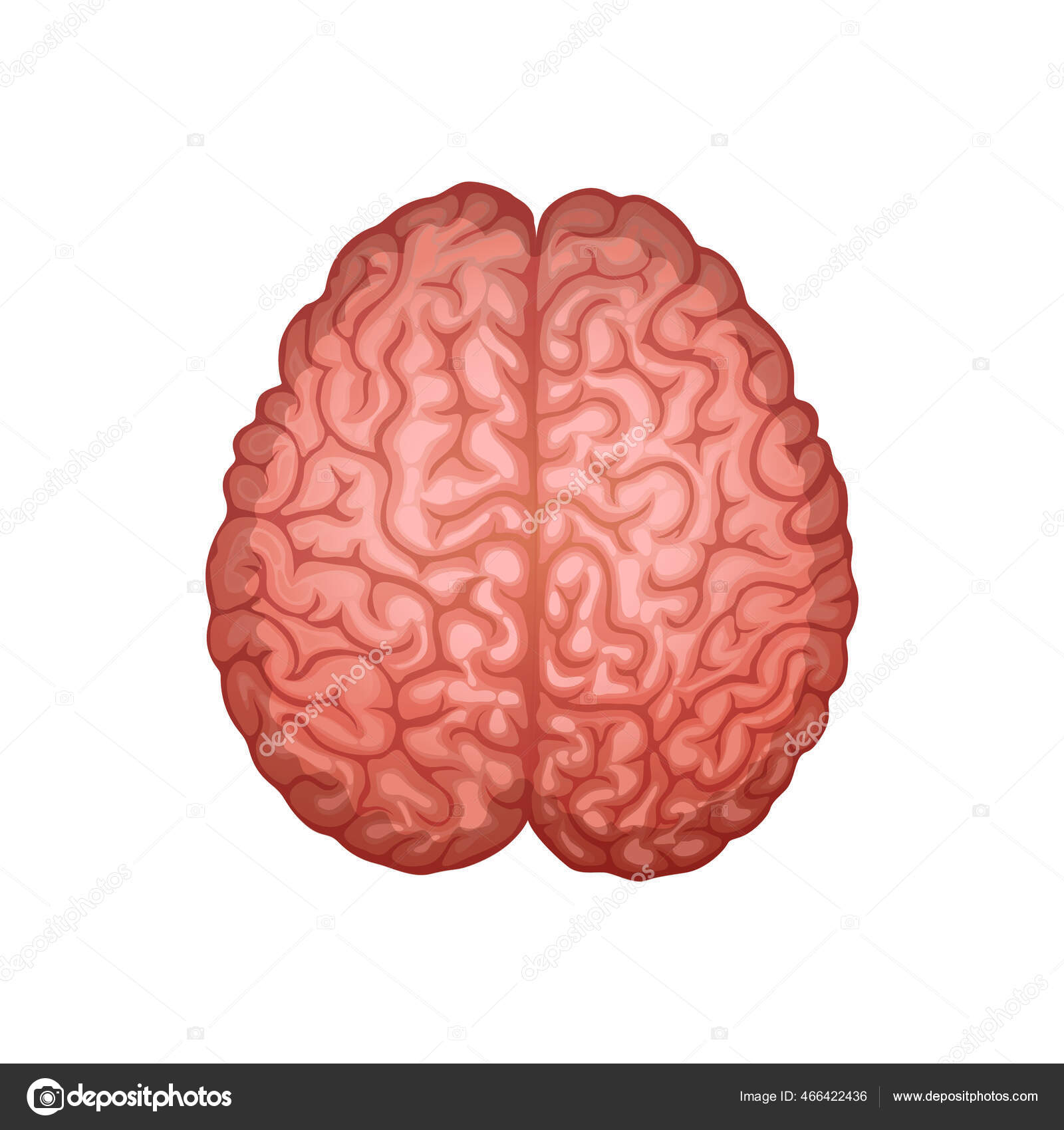 Brain Flat Illustration Stock Vector by ©macrovector 466422436