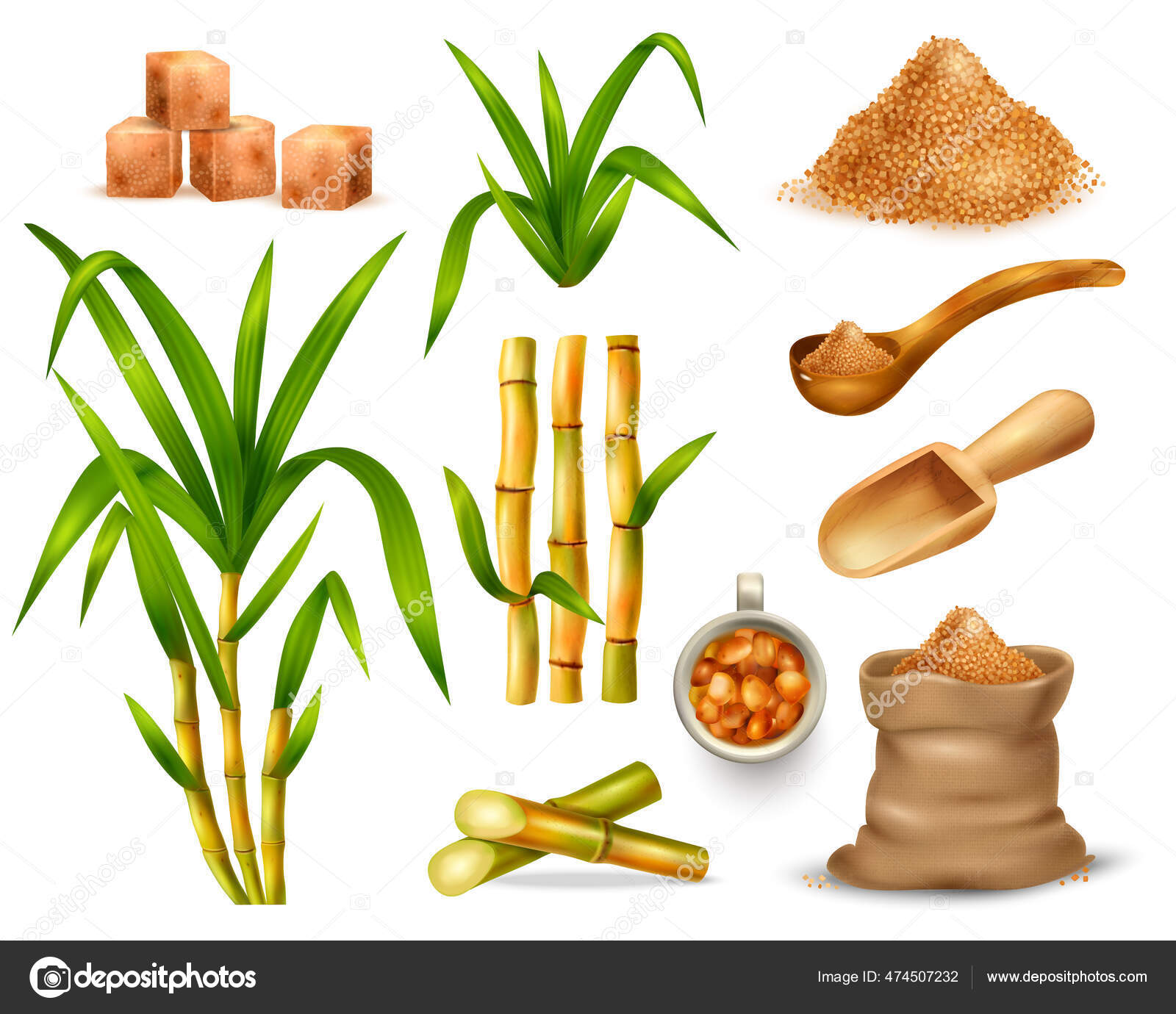 Conjunto de caña de azúcar Vector de stock #474507232 de ©macrovector