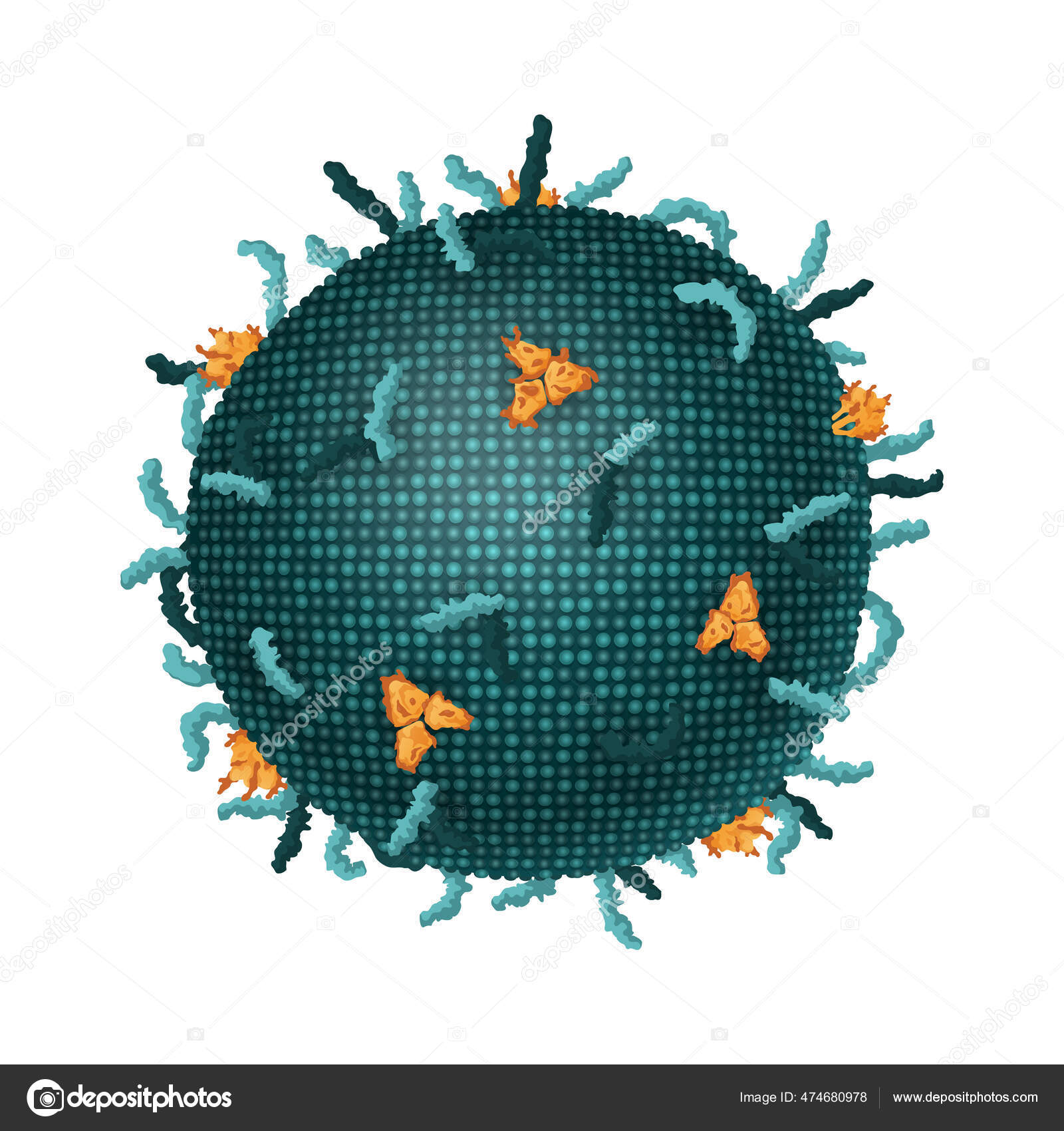 Virus Realistic Icon Stock Vector by ©macrovector 474680978