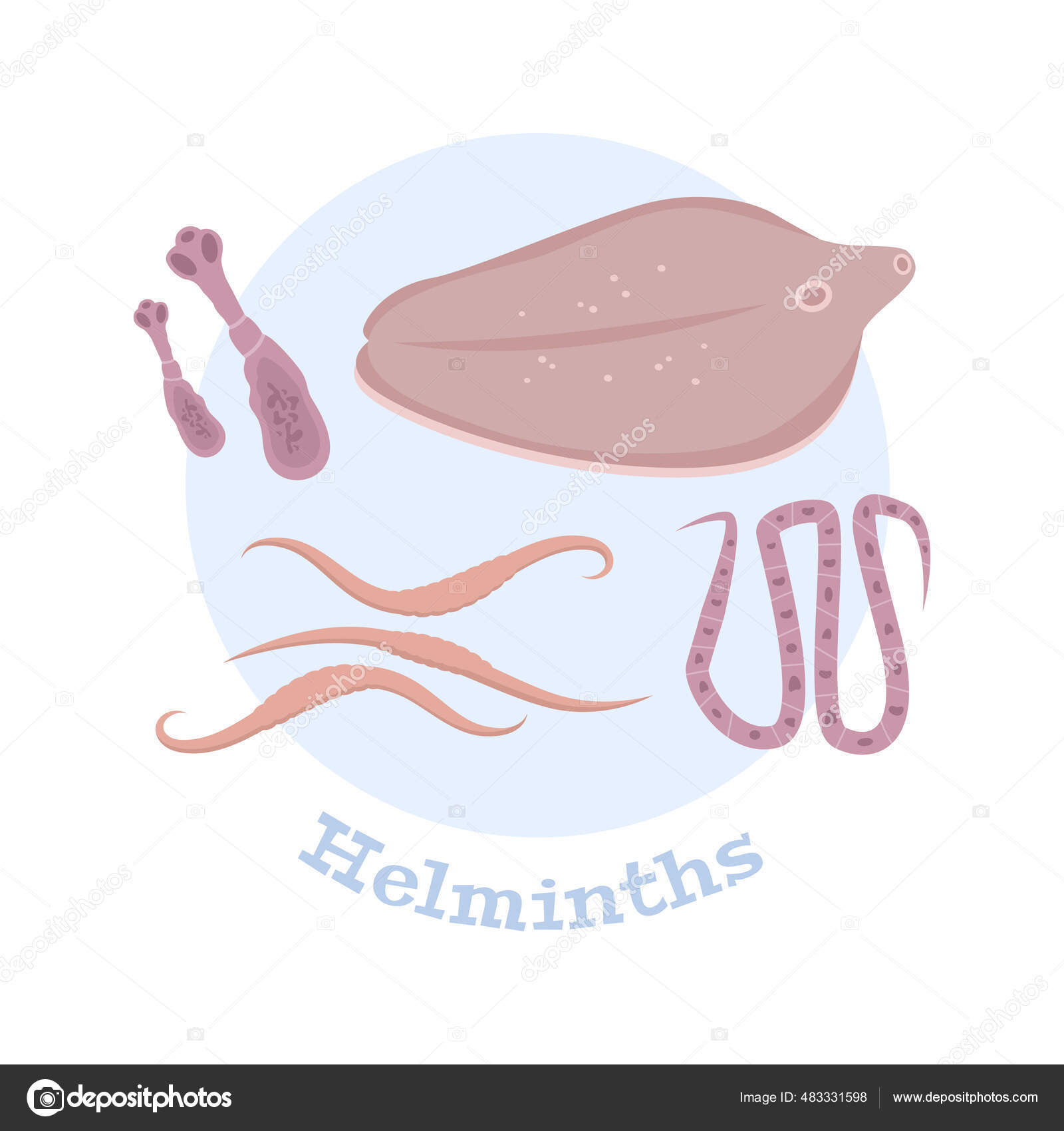 Helmintos Composición plana vector, gráfico vectorial © macrovector ...
