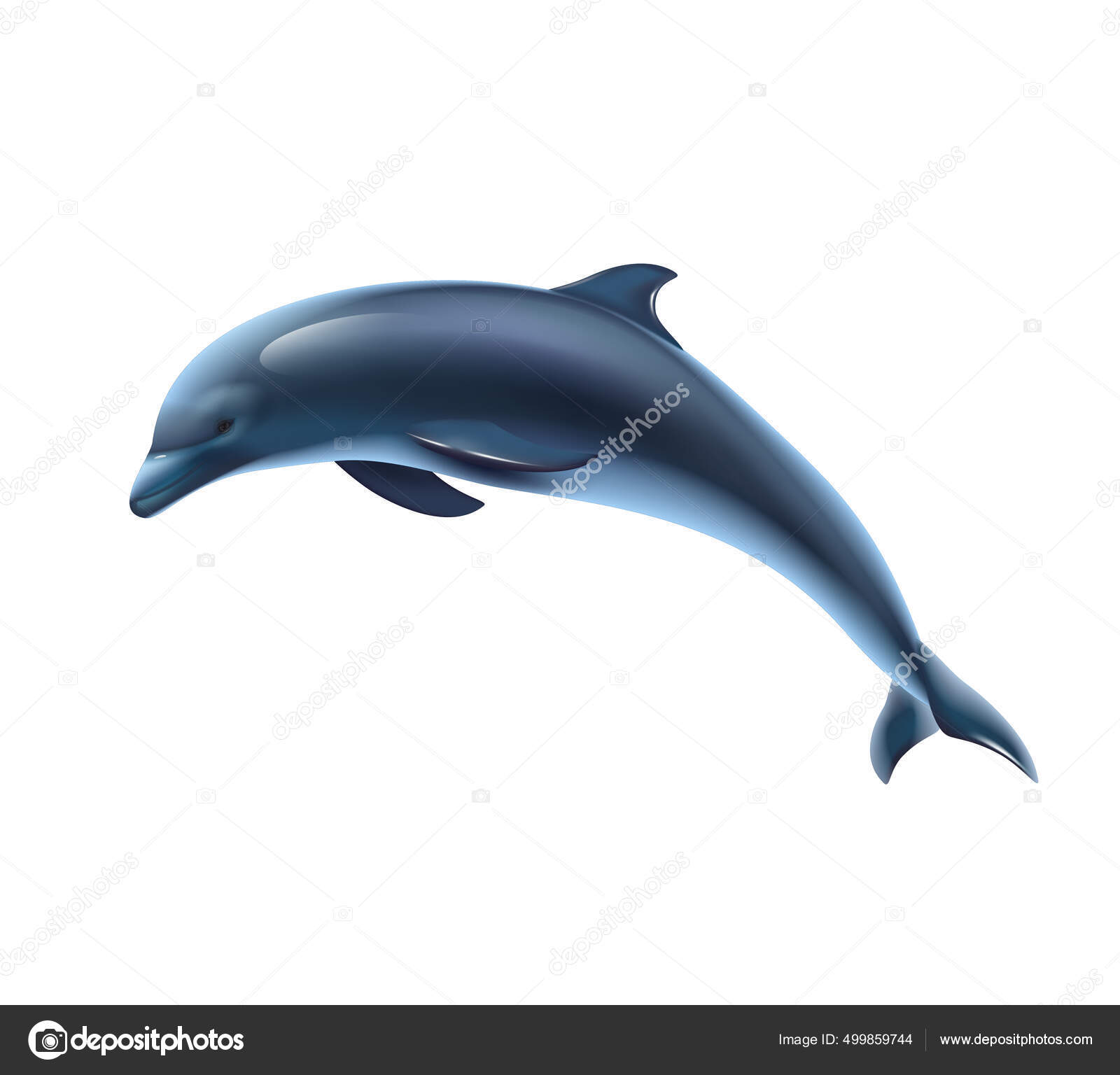 Ilustración realista de delfines Vector de stock #499859744 de ©macrovector
