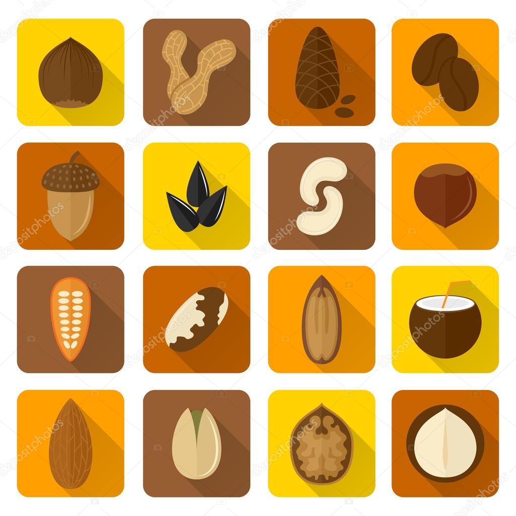 Nuts Icons Set Stock Vector Image by ©macrovector #52405051