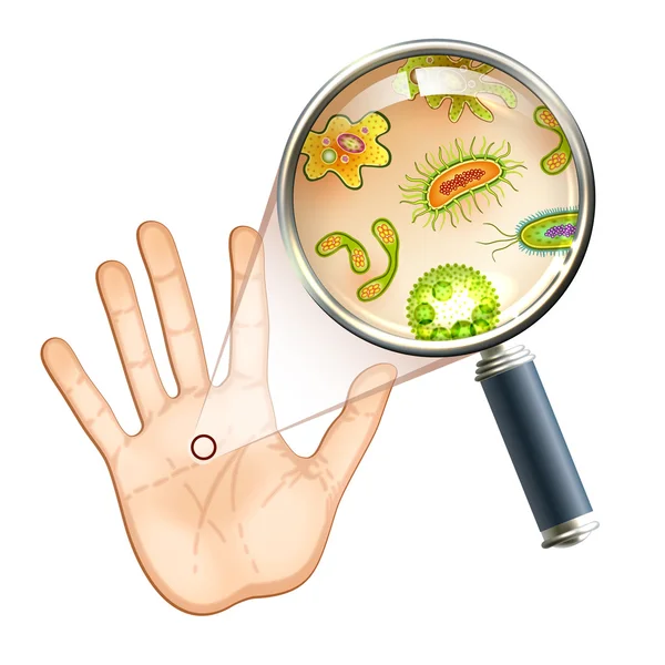 Magnifier bacteria and virus cells — Stock Vector © macrovector #52408955