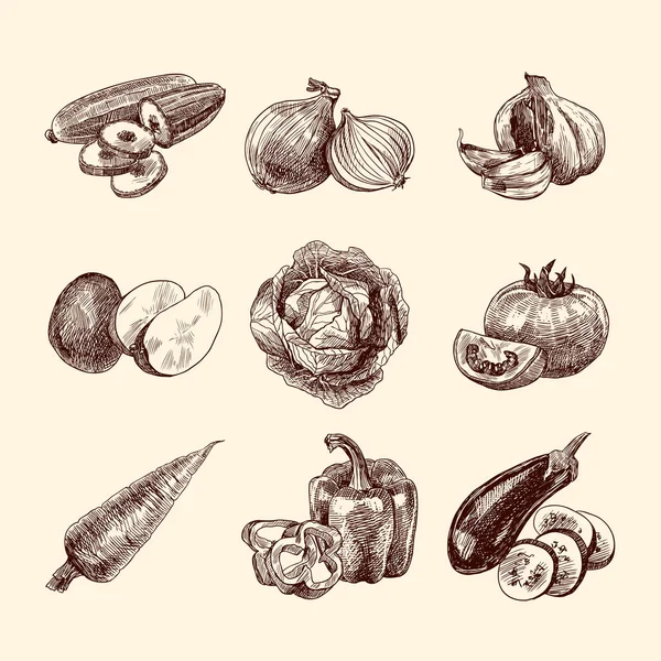 Cut vegetables Stock Vectors, Royalty Free Cut vegetables Illustrations ...
